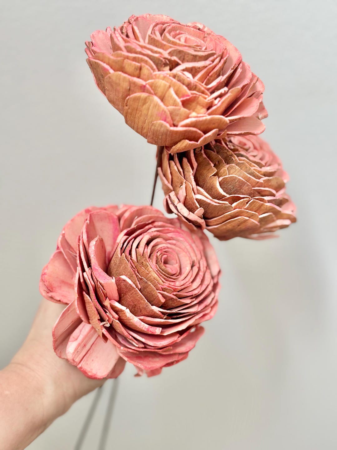 Pink Sola Wood Flowers, Pink Sola Rose, Wood Flowers, Dried Flower ...