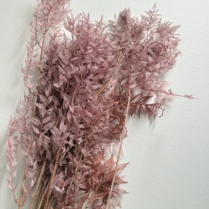 Preserved Dusty Rose Ruscus, Pink Italian Ruscus, Preserved Greenery ...