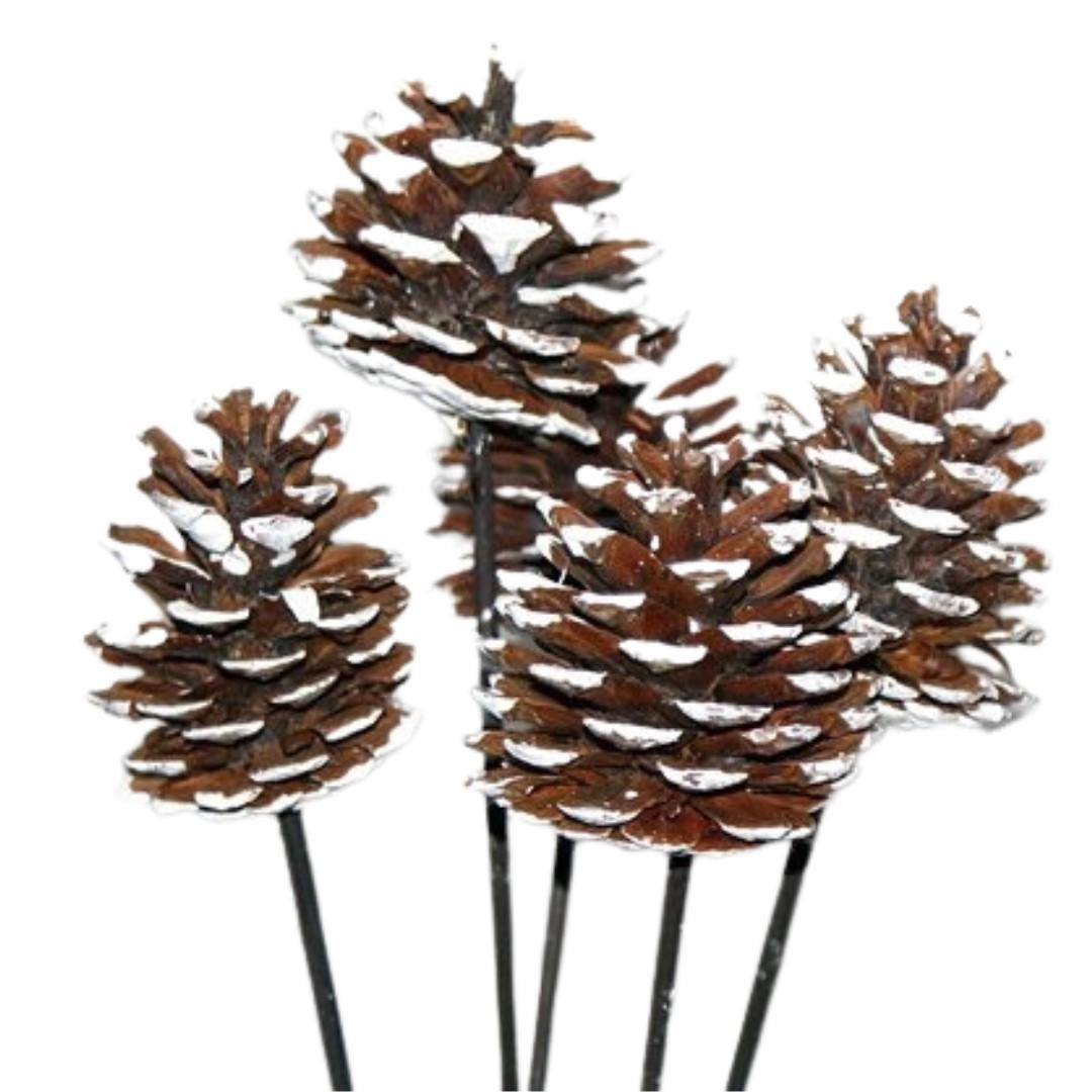 5 Pine Cones on Stem, Pines Cones, Urn Planters, Seasonal Picks ...
