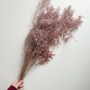 Preserved Dusty Rose Ruscus, Pink Italian Ruscus, Preserved Greenery ...