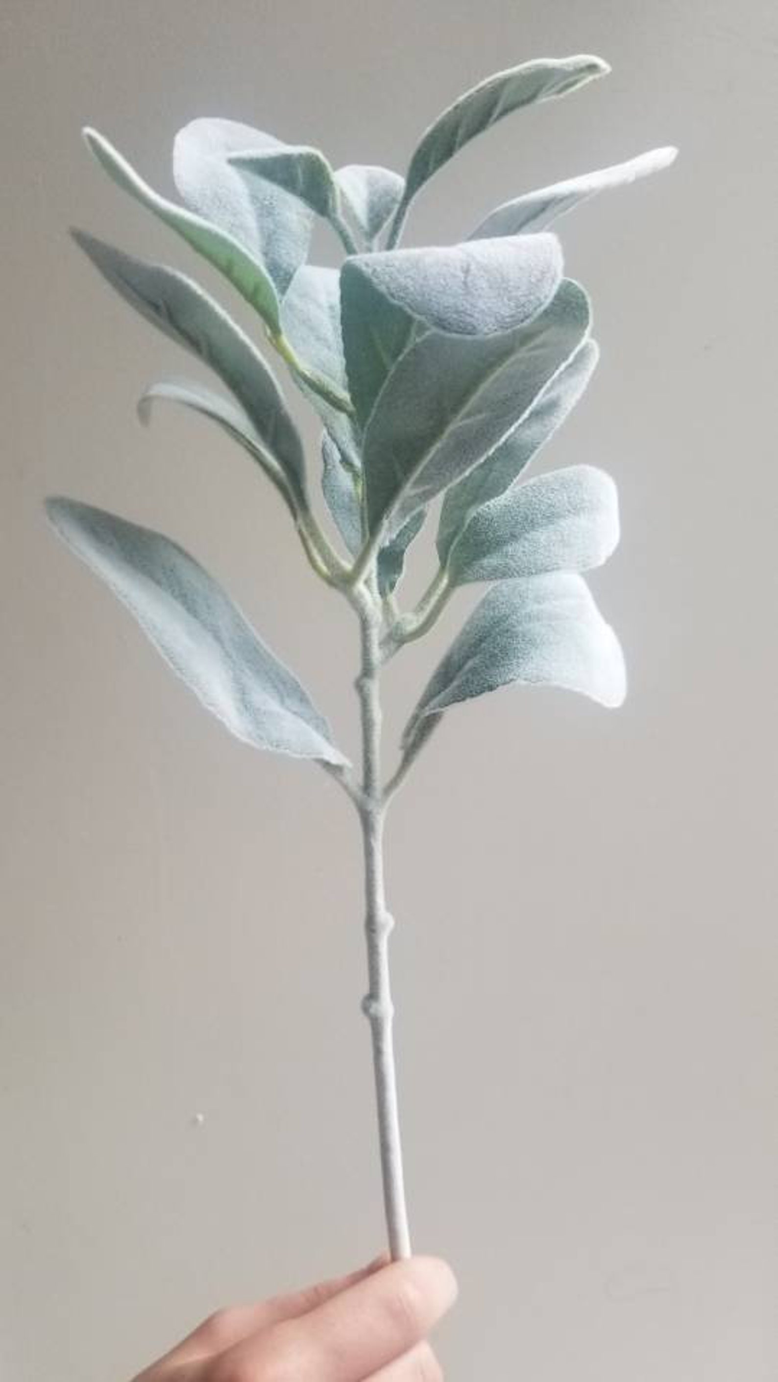 Lambs Ear Greenery, Lambs Ear Evergreen, Faux Lambs Ear, Wedding ...