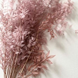 Preserved Dusty Rose Ruscus, Pink Italian Ruscus, Preserved Greenery ...