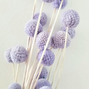 20 Pcs 16"-20" Lilac Billy Buttons, Purple Dried Craspedia, Billy Balls ...
