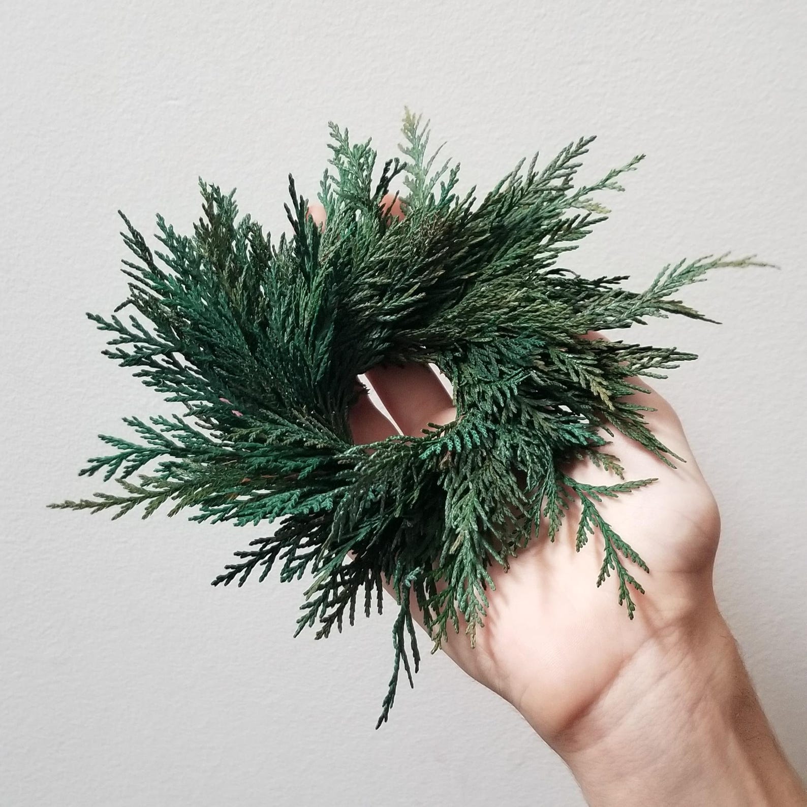 Mini Cedar Wreath, Table Place Settings, Tea Light Holder, Cupboard ...