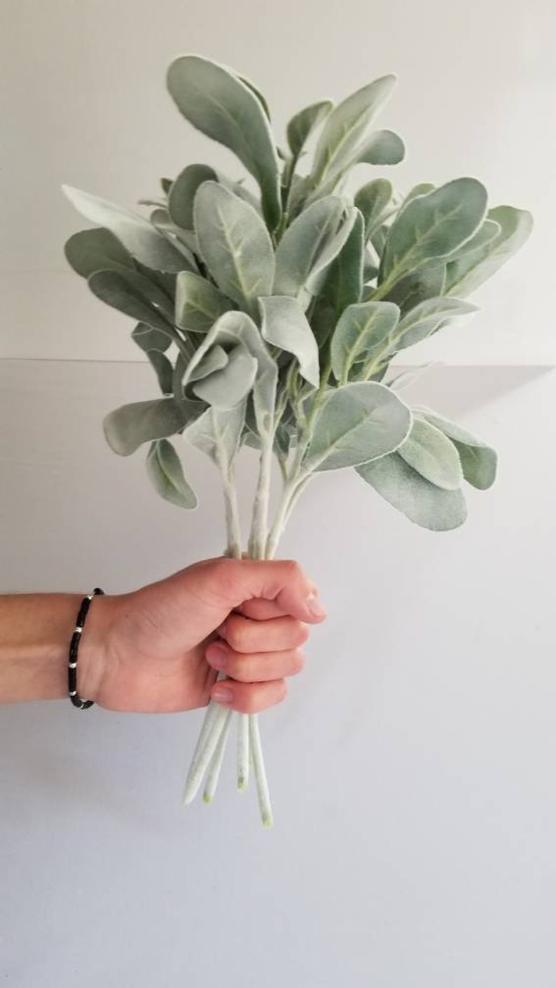 Lambs Ear Greenery, Lambs Ear Evergreen, Faux Lambs Ear, Wedding ...