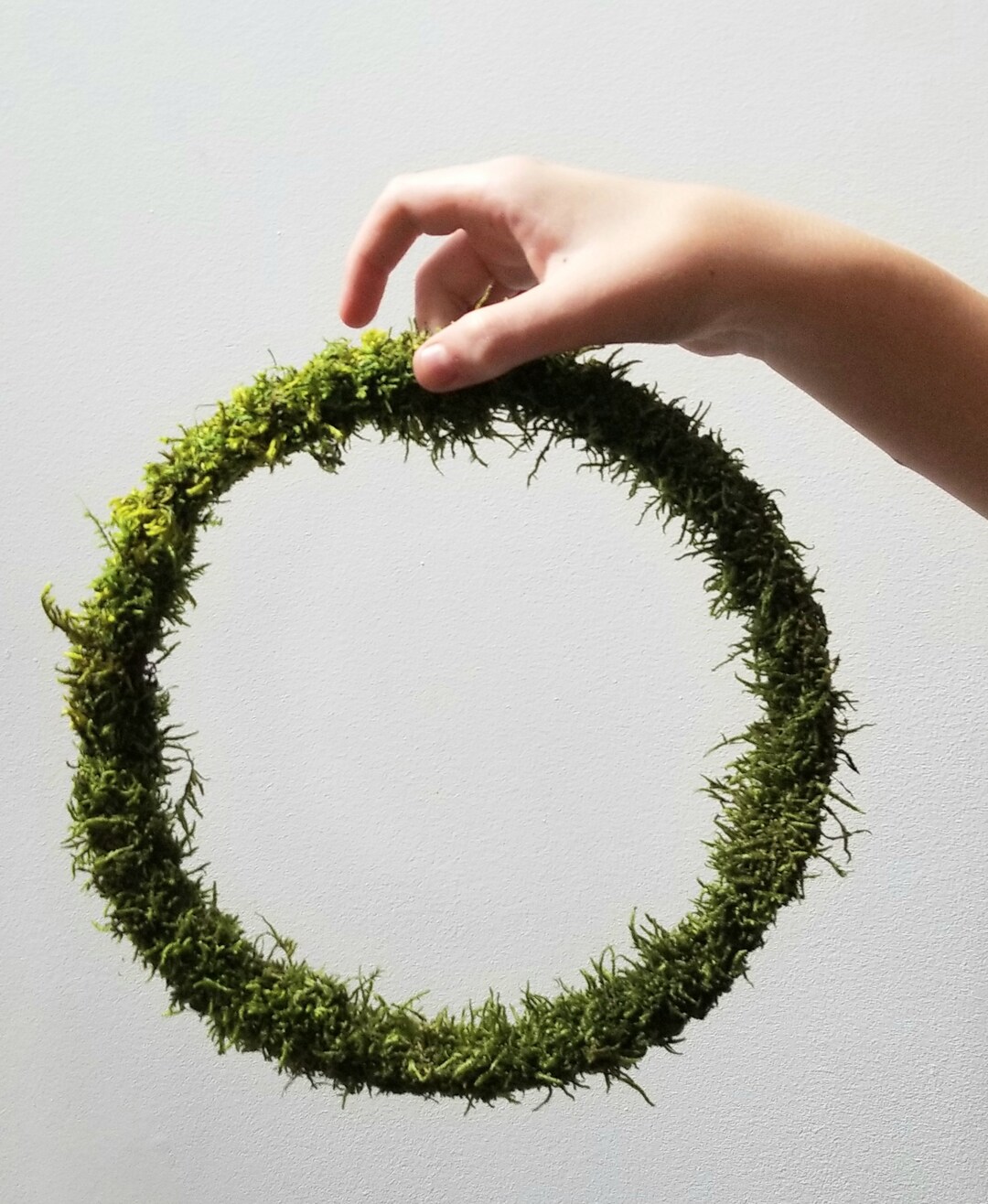 Moss Ring Base, Wreath DIY, Moss Wreath, Floral Supplies, Floral Making ...