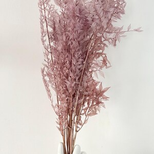 Preserved Dusty Rose Ruscus, Pink Italian Ruscus, Preserved Greenery ...