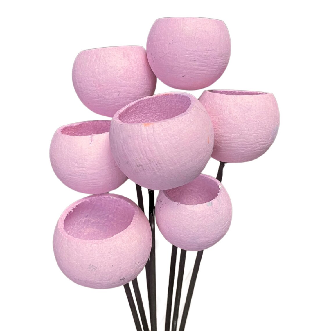 2"-3" Light Pink Bell Cups, Spring Flowers, Dried Flower Pods, Easter ...
