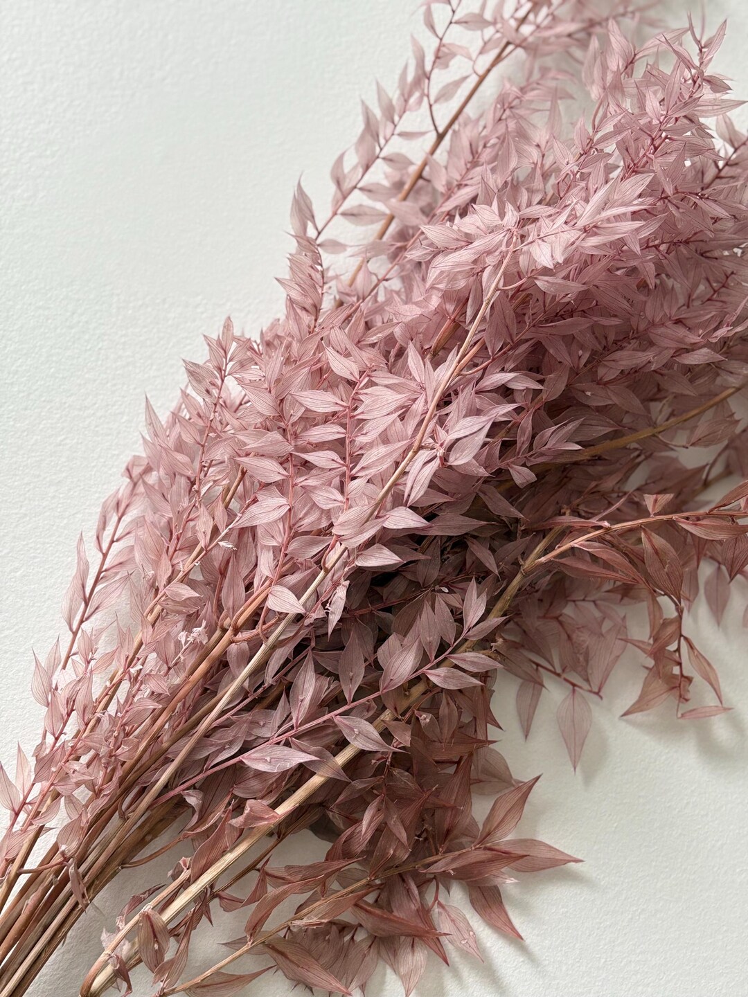 Preserved Dusty Rose Ruscus, Pink Italian Ruscus, Preserved Greenery ...