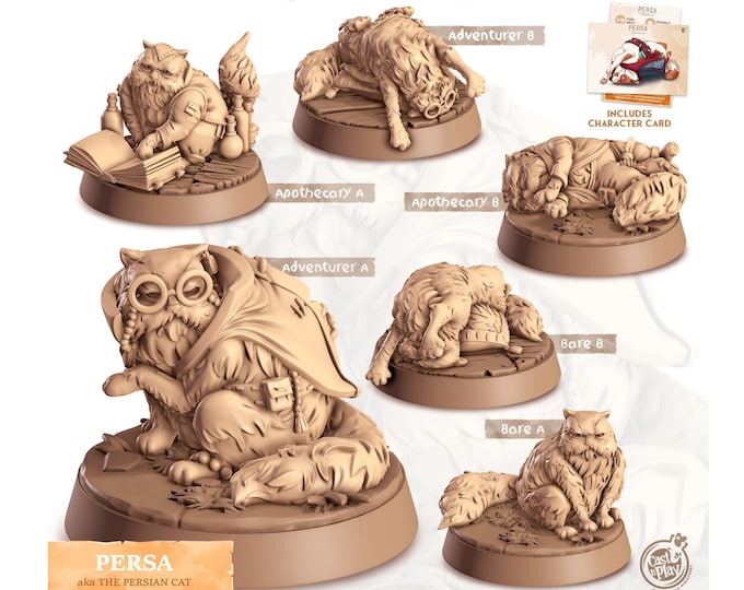 Mage Cat Companion Miniature Persian Cat Animal Dungeons and Dragons ...