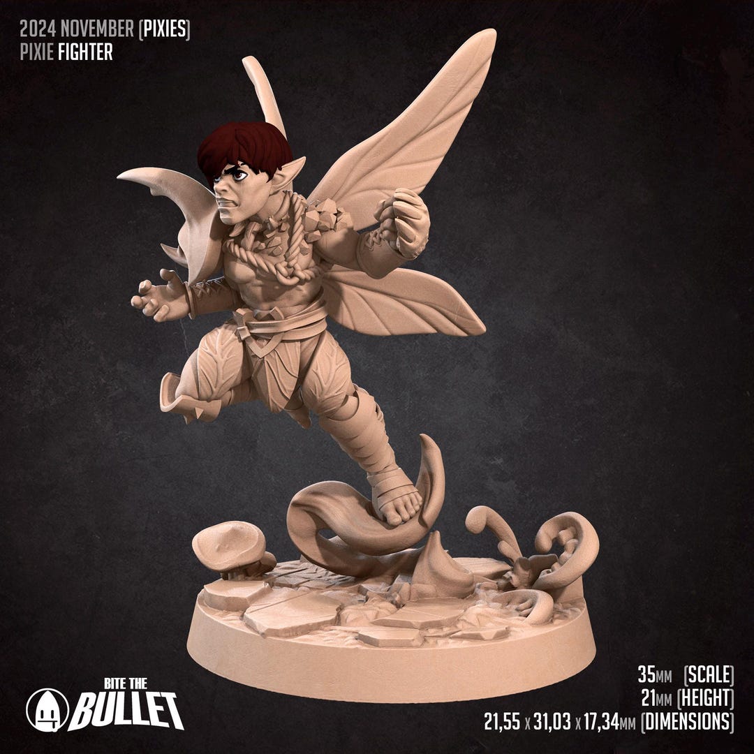 Dnd Pathfinder TTRPG Male Pixie Monk Fighter Barbarian Tavern Brawler ...