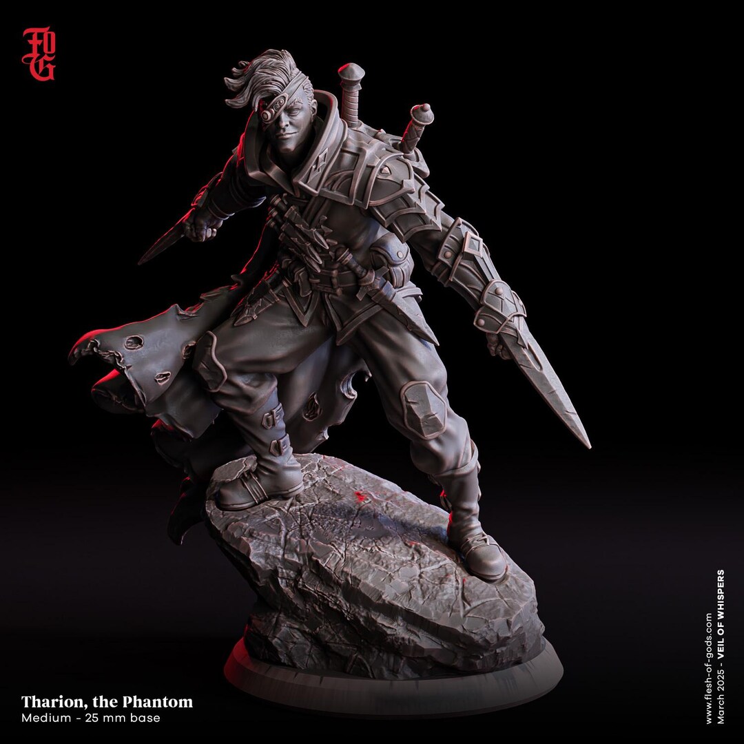 Dnd | Pathfinder | TTRPG Hero - Tharion, the Phantom Male Human Monk ...