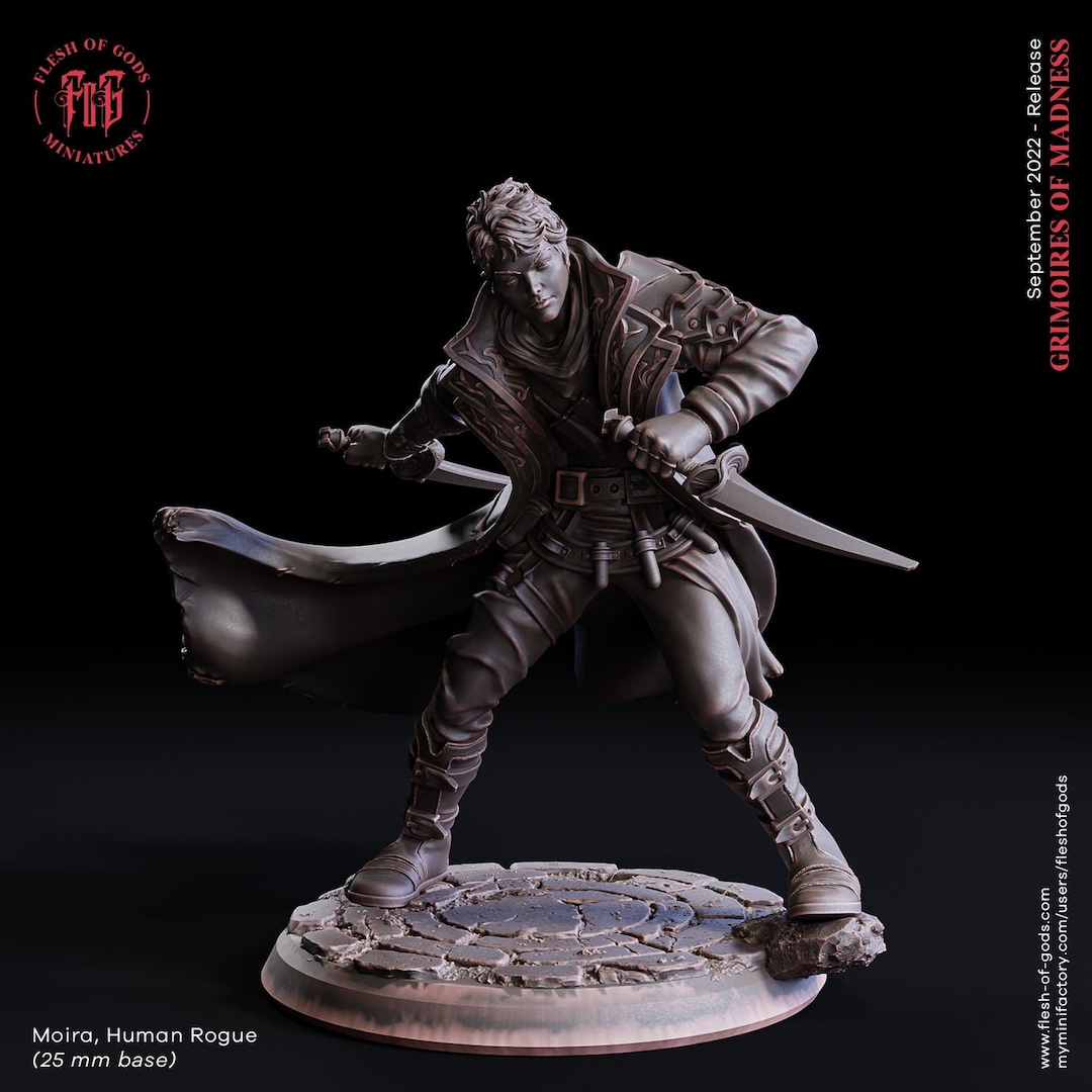 Dnd Human Rogue - Duelist Unpainted Miniature - Etsy