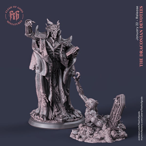 Dragonborn Wizard Miniature - Etsy