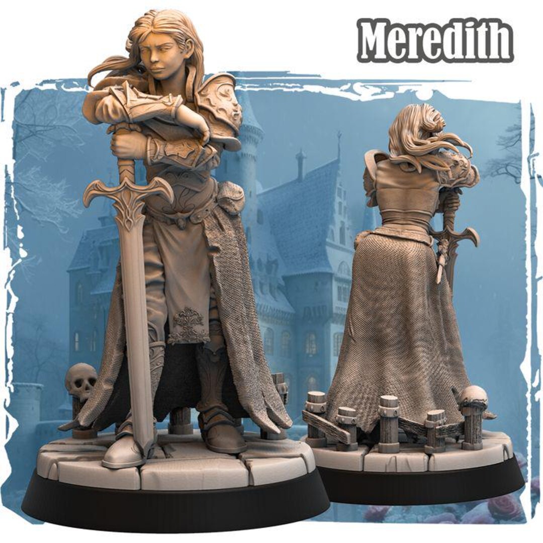 Dnd - TTRPG - Pathfinder Hero - Meredith Human Female Paladin | Fighter ...