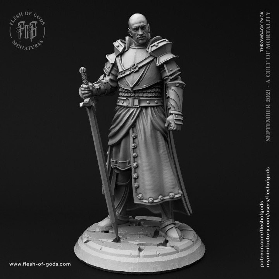Dnd - Pathfinder Male Human Paladin - Fighter Unpainted Miniature - Etsy