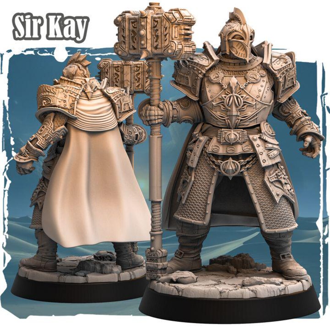 Dnd - TTRPG - Pathfinder Hero - Sir Kay Human Male Paladin | Fighter ...
