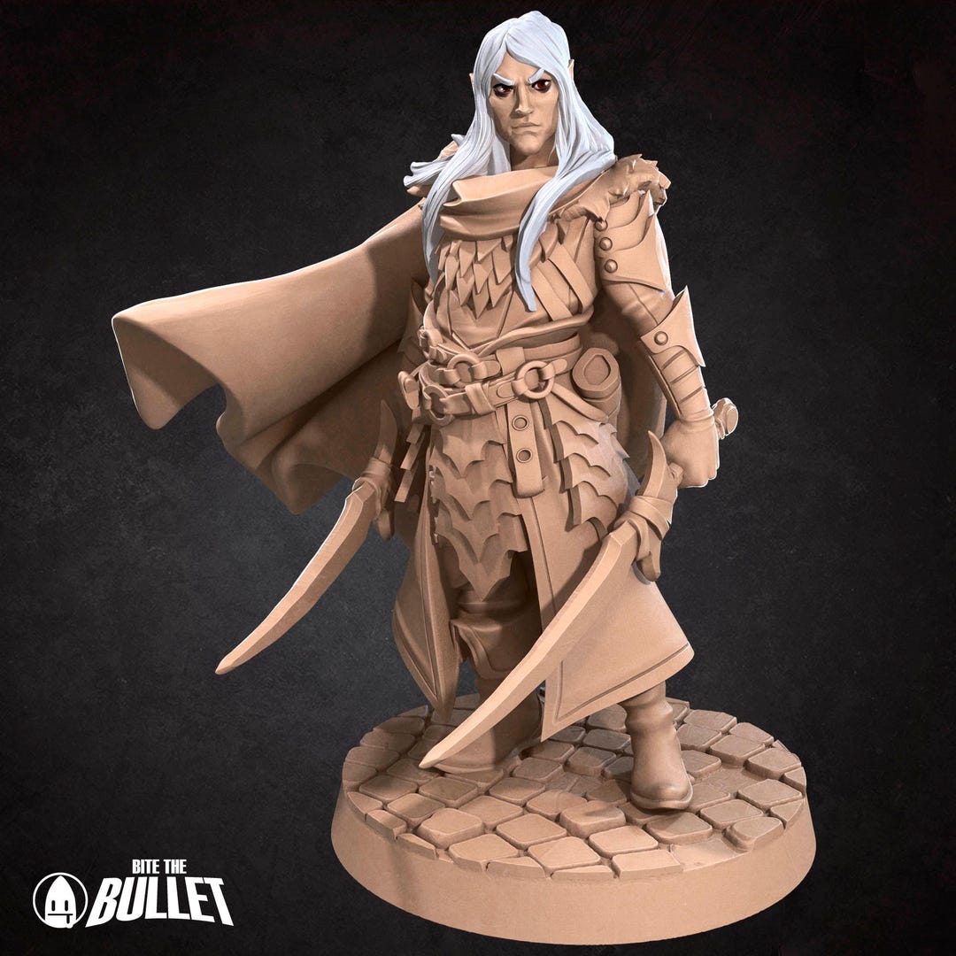 Dnd | Pathfinder | TTRPG Male Drow With Familiar - Elf Ranger | Fighter ...
