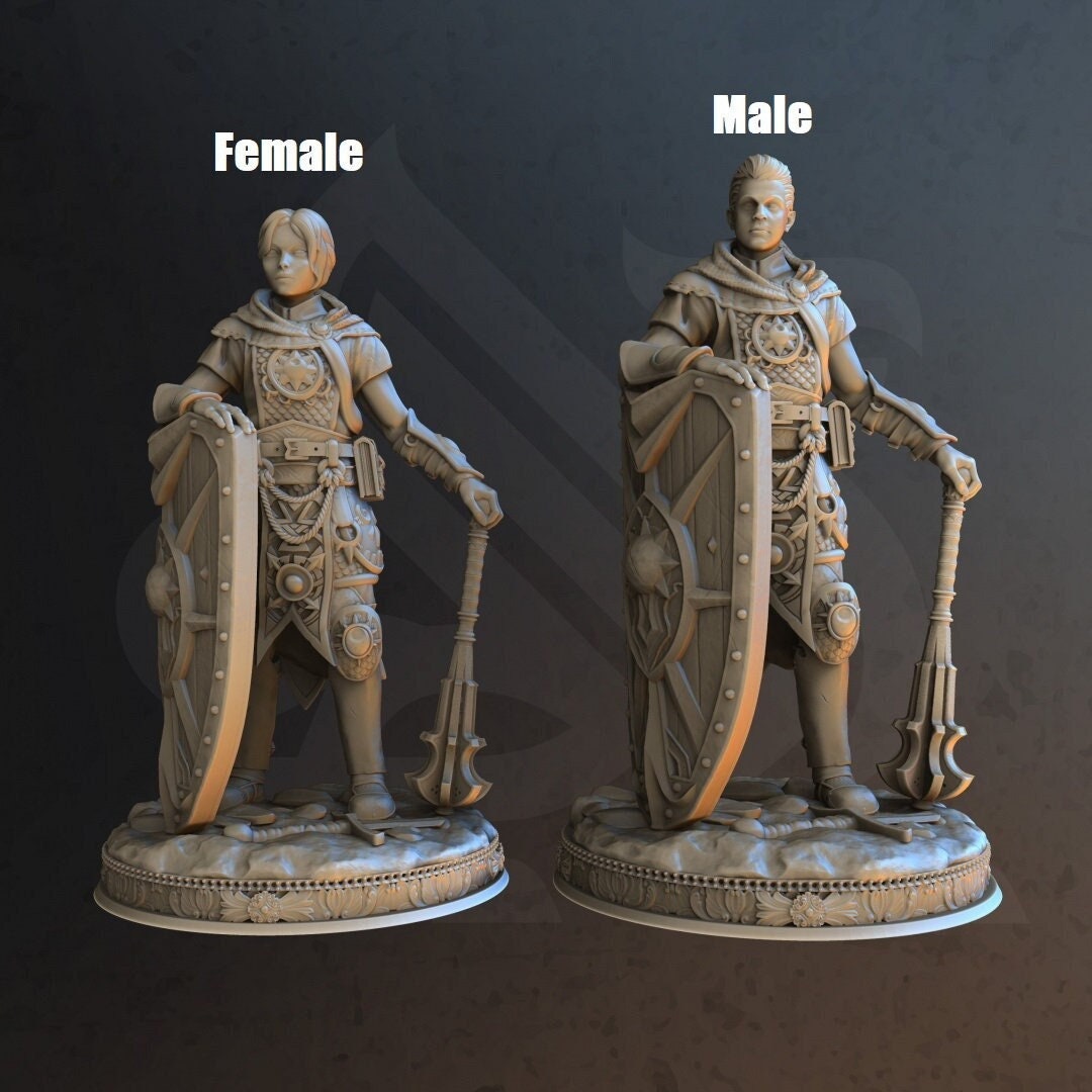 Dnd Male and Female Elf Cleric Arkeus and Arkina Unpainted Miniature ...