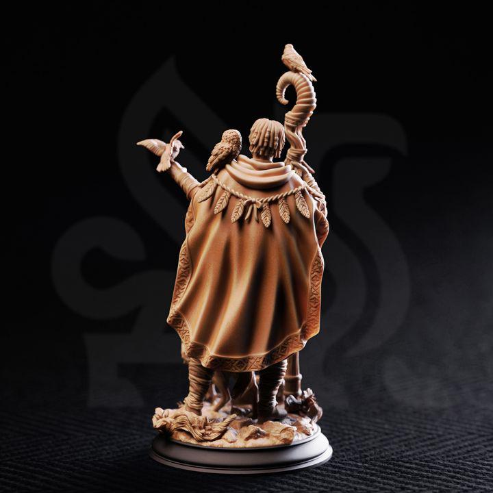 Dnd | Pathfinder | TTRPG Gwambari - Animal Friend Shaman Male Human ...