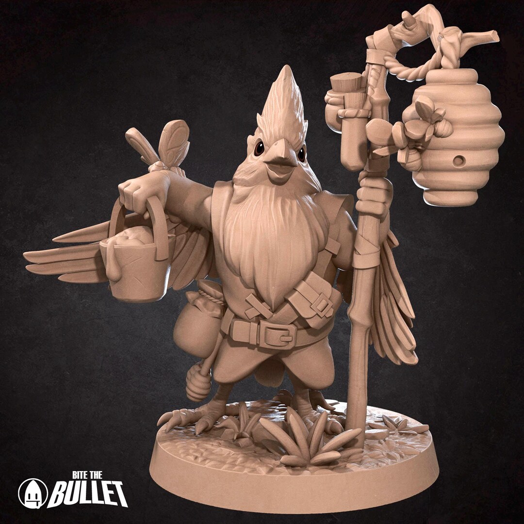 Dnd | Pathfinder | TTRPG Aarokockra Druid | Mage | Fey Creature ...