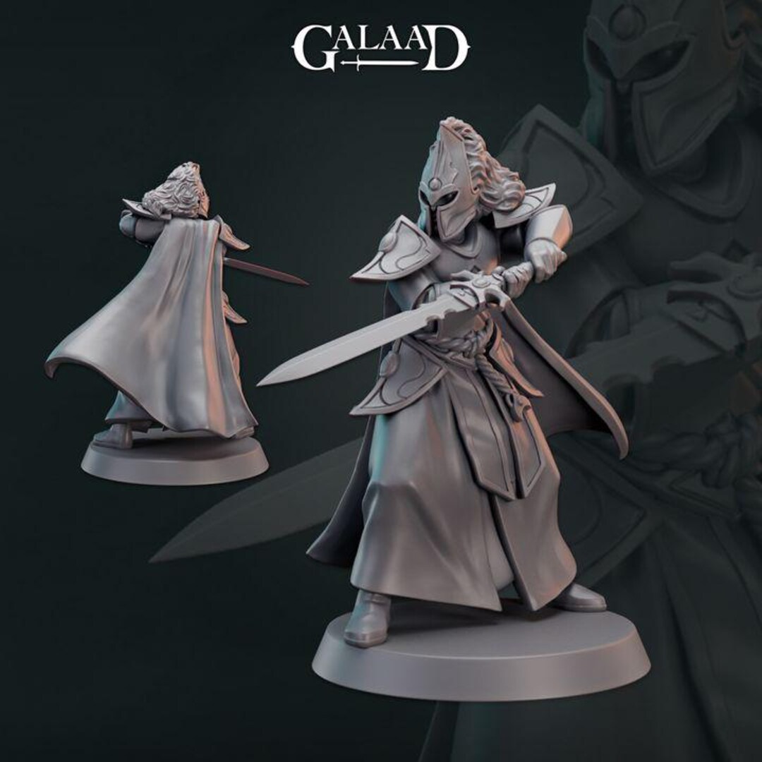 Dnd | Pathfinder | TTRPG Male Elf Paladin | Fighter | Warrior Unpainted ...
