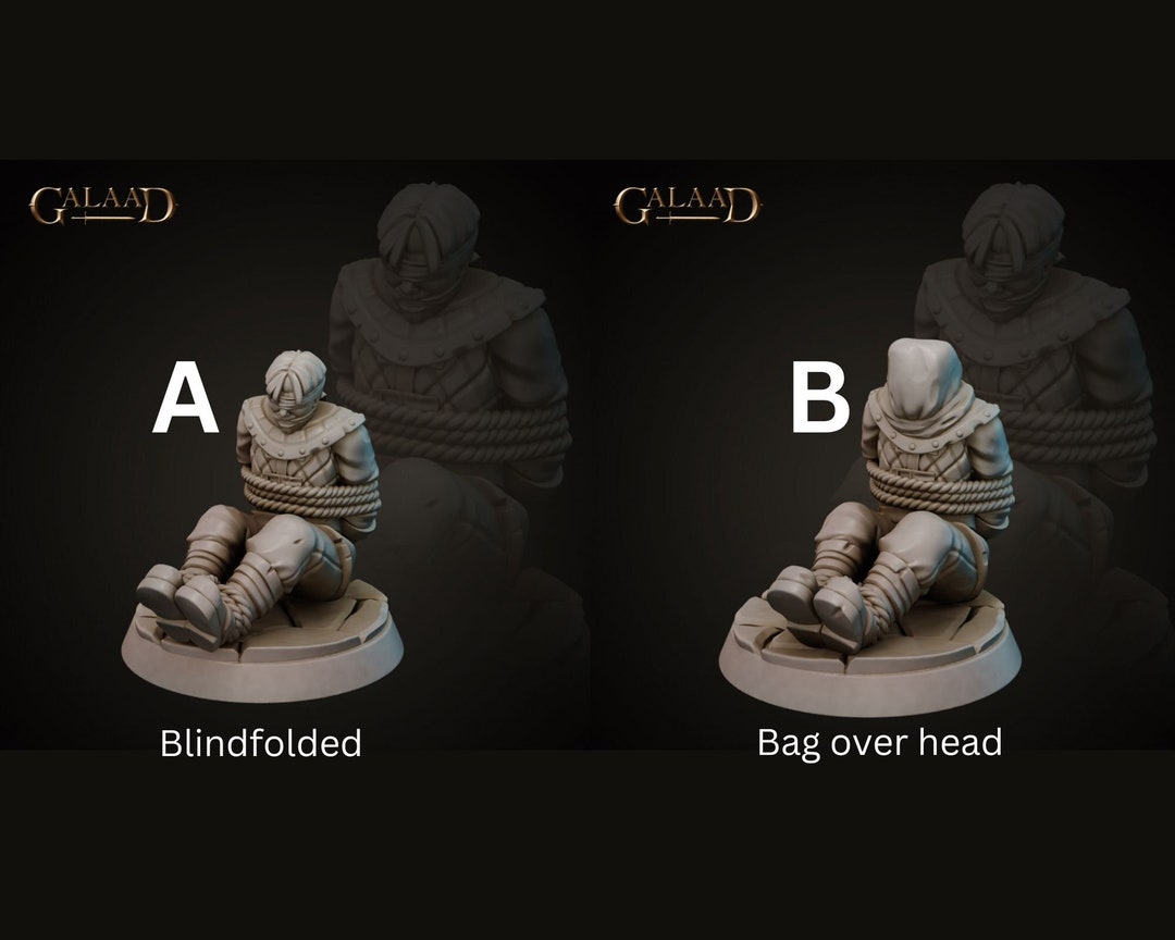 Dnd Male Human Bandit/prisoner Sitting Down Tied up With a Blindfold or ...