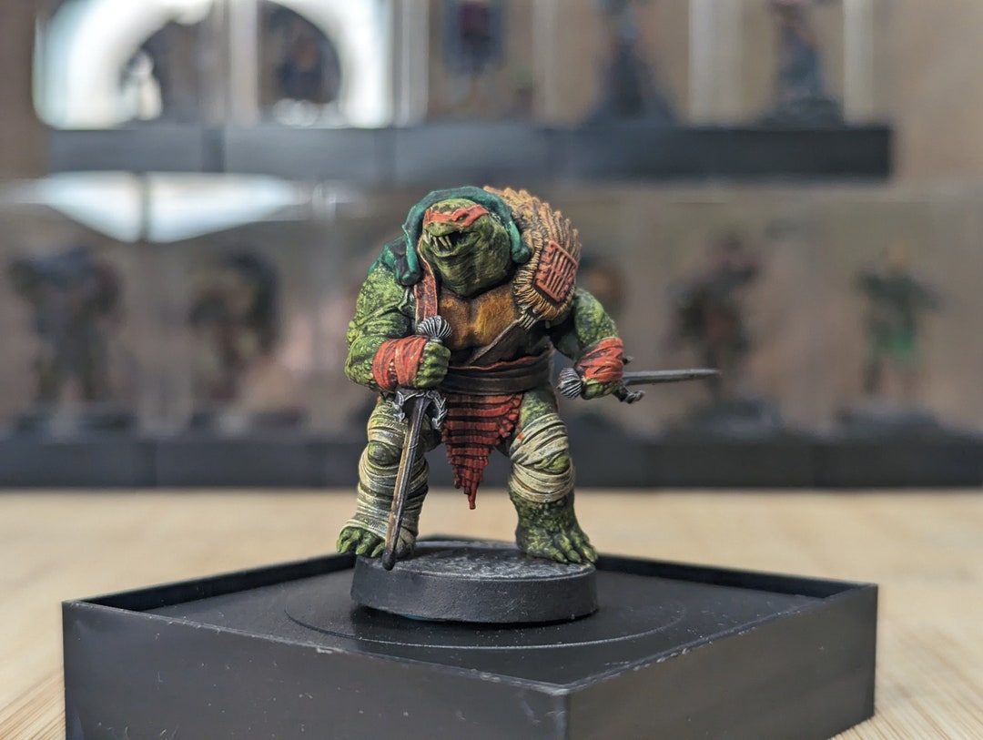 Dnd | Pathfinder | TTRPG Tortle Monk | Fighter | Rogue Painted ...