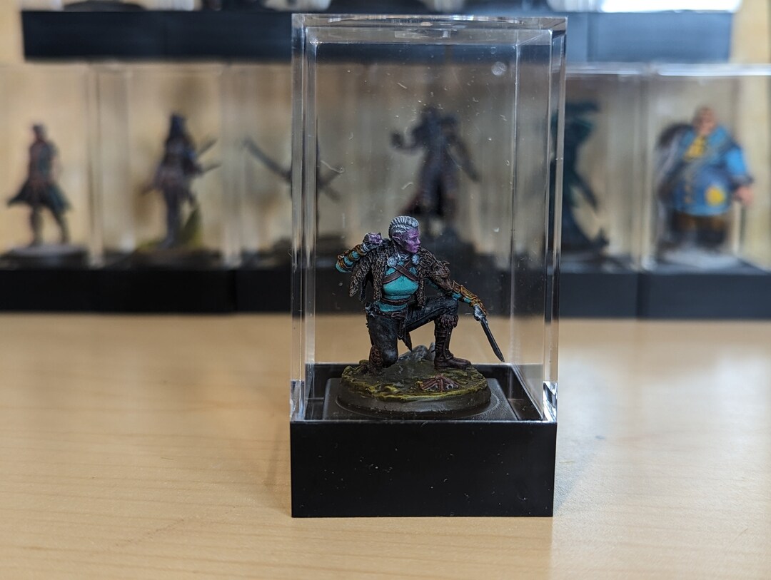 Dnd Lyra Skywatcher Female Elf Ranger Rogue Painted - Etsy