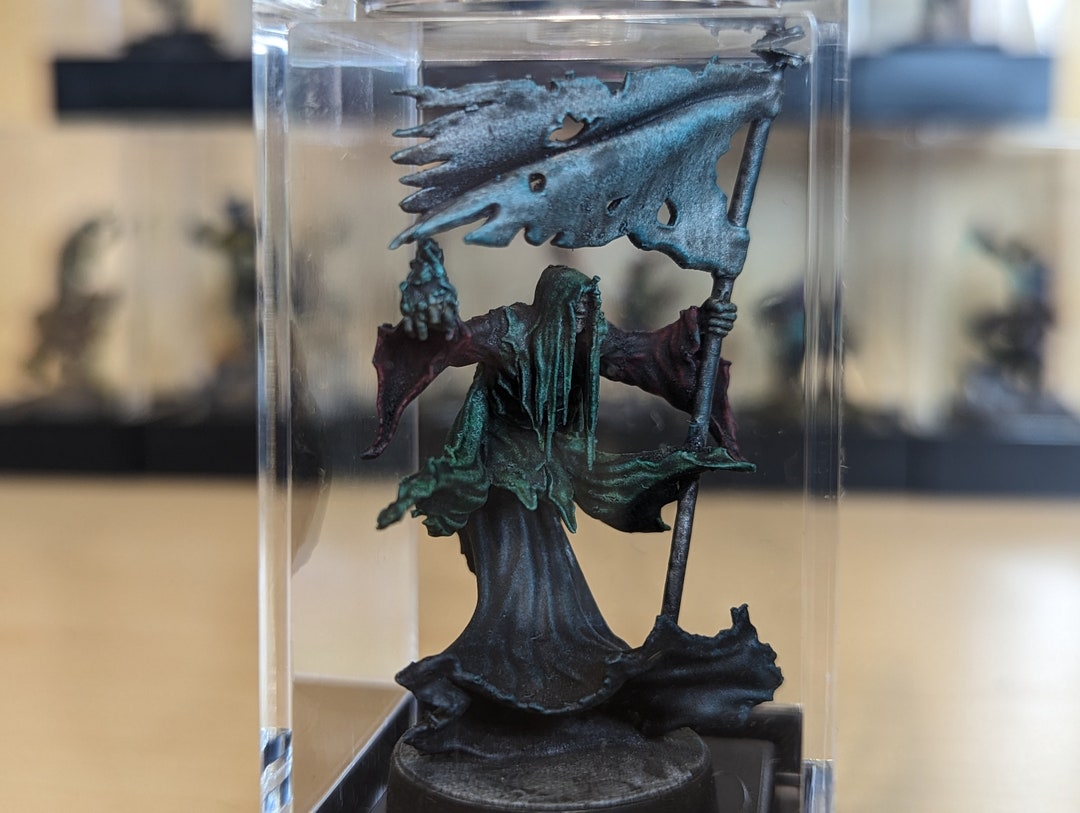 Dnd Pathfinder TTRPG Wraith Undead Painted Miniature - Etsy