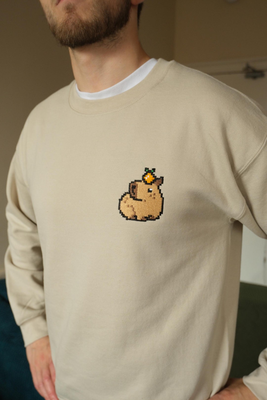 Embroidered Pixel Capybara Sweatshirt / Hoodie, Heavy Blend Crewneck ...