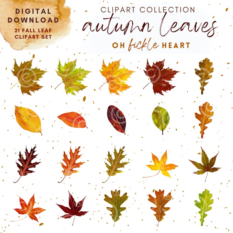 AUTUMN LEAVES PNG Clipart Set - Earthy Golden & Rust-coloured Leaves ...