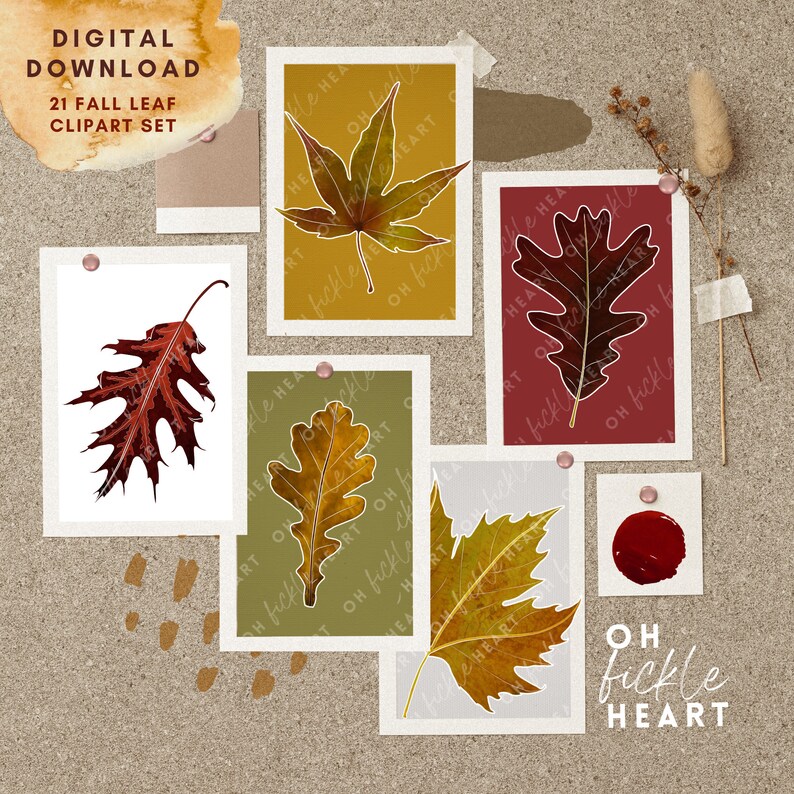 AUTUMN LEAVES PNG Clipart Set - Earthy Golden & Rust-coloured Leaves ...
