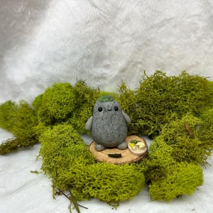 Rock Pet, Desk Buddy Comes With Adoption Certificate. - Etsy Ireland