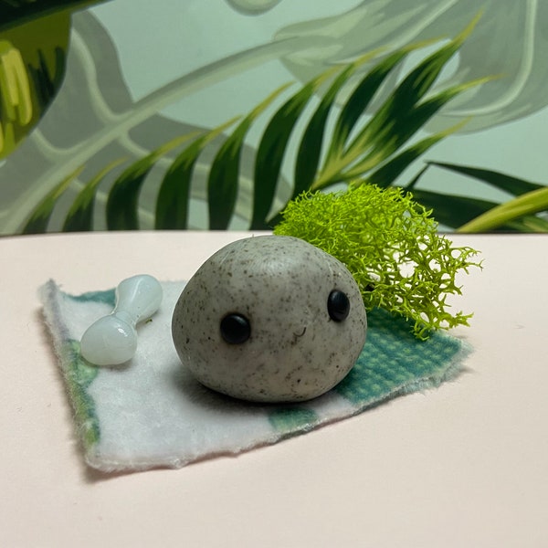 Pet Rock - Etsy