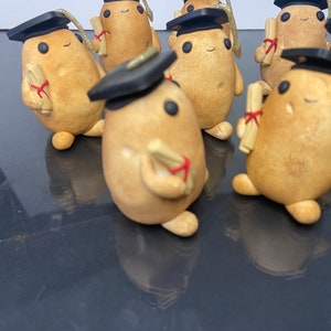 Graduated Potato. Limited Editon. Pet Potato, Adopt a Potato. - Etsy UK
