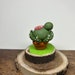 Cactopus Pet. Desk Buddy. - Etsy
