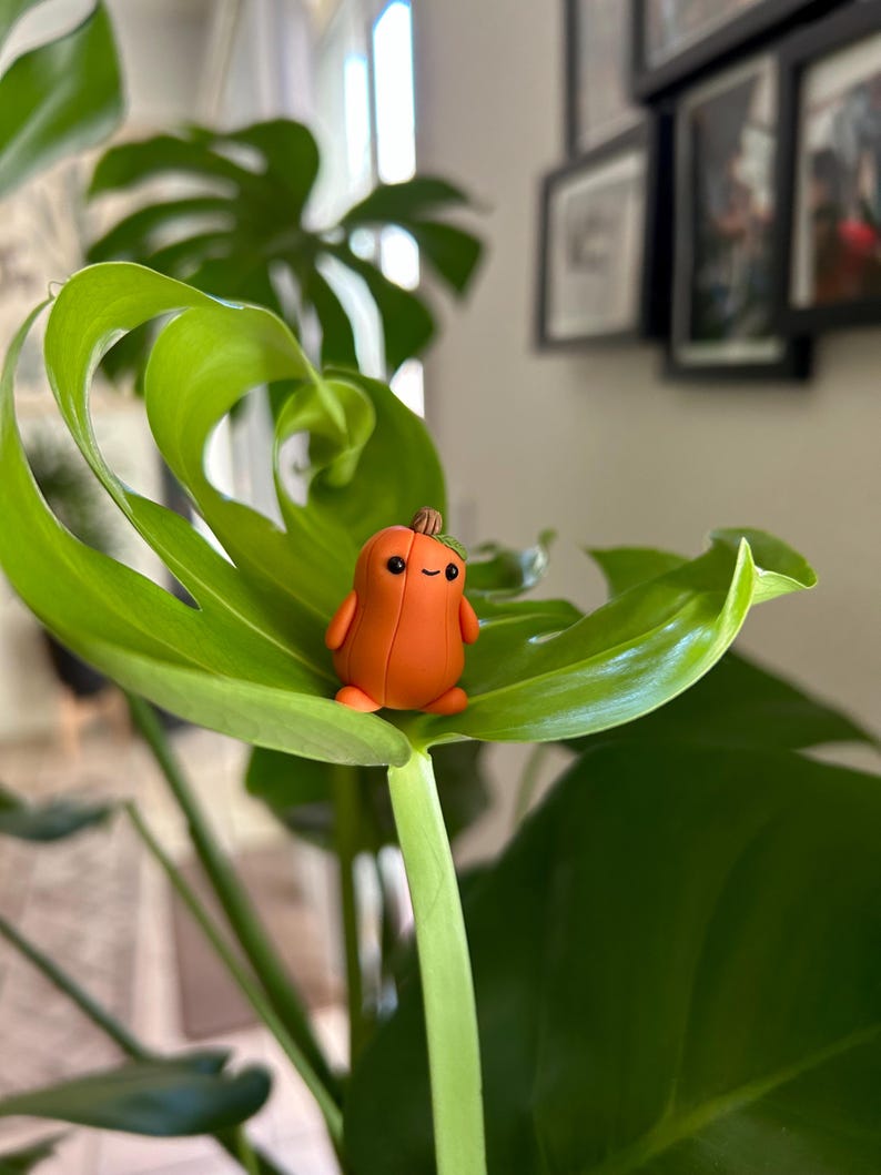 Mini Pumpkin Potato, Desk Buddy. - Etsy
