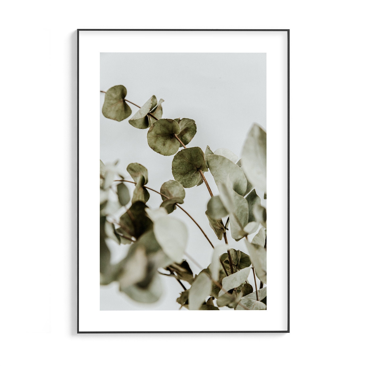 Eucalyptus Close up Poster Boho Print Nature Plant - Etsy UK