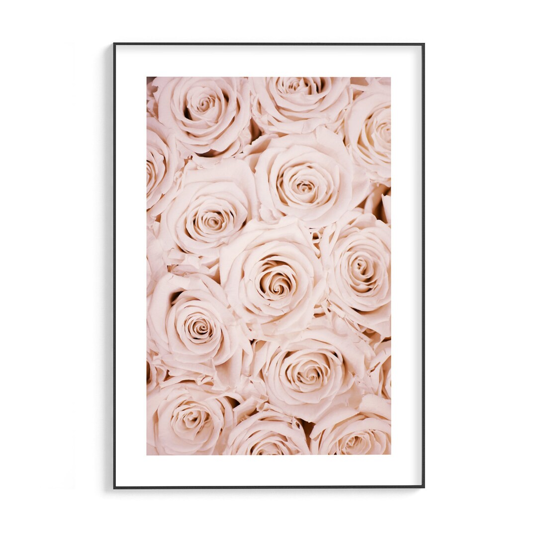 Pastel Pink Roses Poster Scandi Boho Botanical Floral Print Pink Décor ...