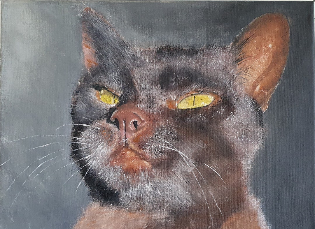 Cat Dog Painting Portrait - Etsy