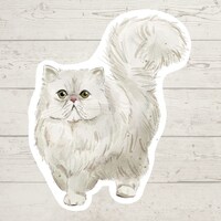 Persian Cat - Etsy