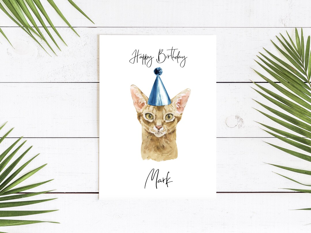 Personalised Abyssinian - Cat Birthday Card -cat Lovers Card Cat Owner ...