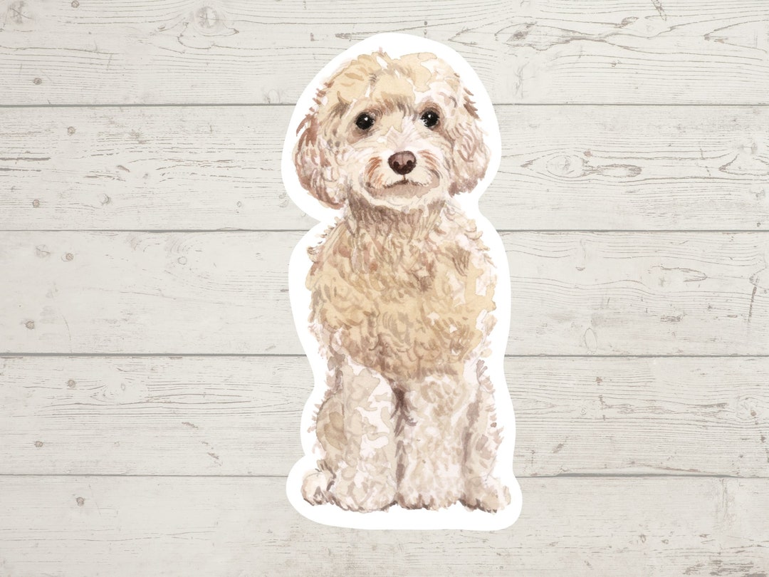 3 X Champagne Cockapoo Vinyl Stickers, Dog Mom, Dog Dad, Dog Lover Gift ...