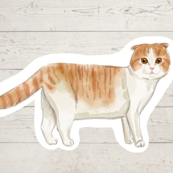 Scottish Fold Cat Stickers - Etsy