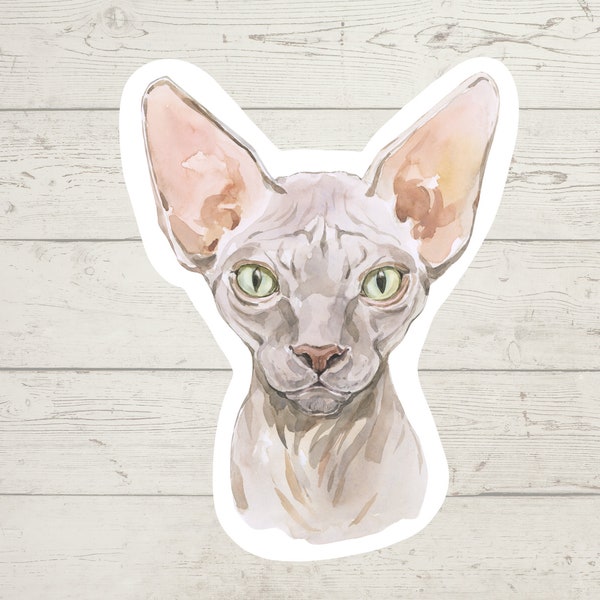 Sphynx Cat - Etsy