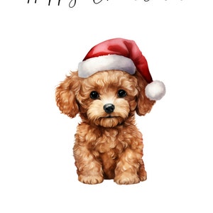 Personalised Cavapoo - Dog Christmas Card -dog Lovers Card Card, Funny ...