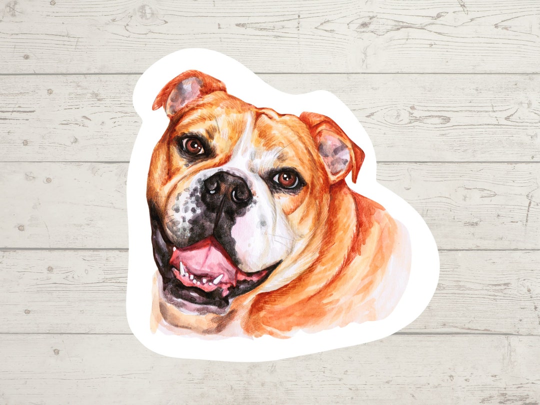 3 X English Bulldog Vinyl Stickers, Dog Mom Sticker, Dog Lover Gift ...