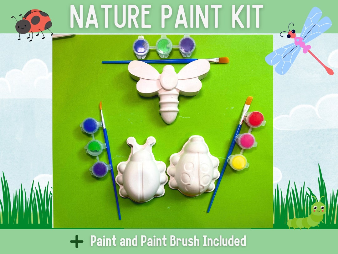 Bug Nature Paint Kit for Toddlers | DIY Craft Set for Kids ...