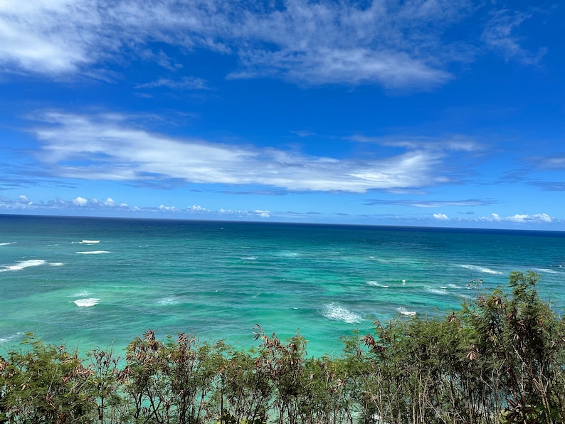 Whales Tail /wave - Etsy